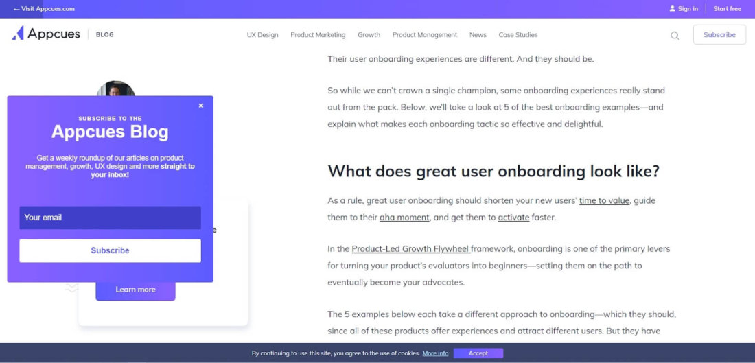 38 Best Website Popup Examples: Pop Up Design & Copy for 2025